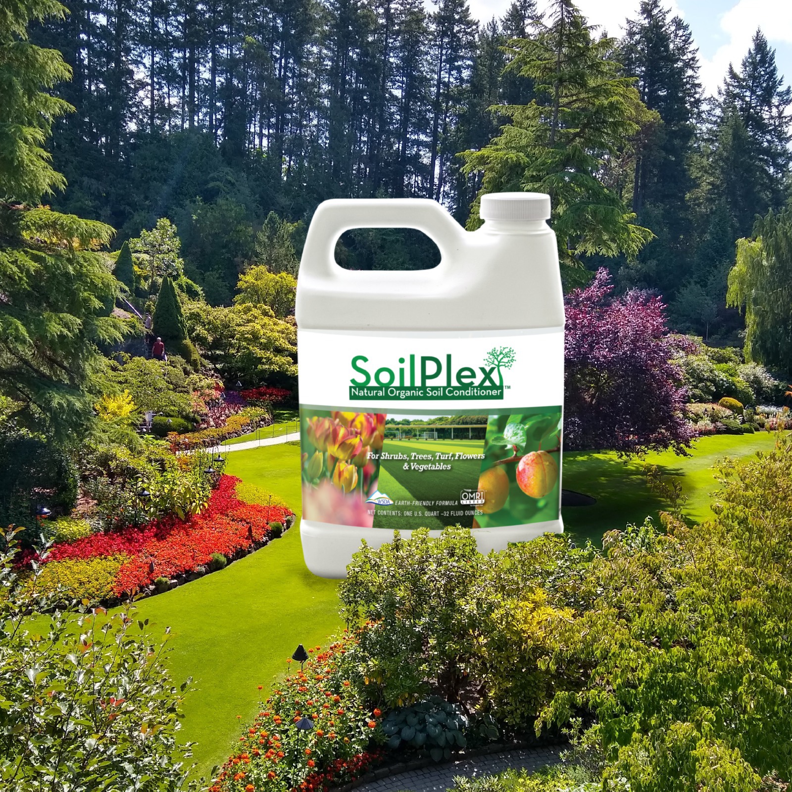 Why Humic acids improve marijuana health Marijuana Fertilizer